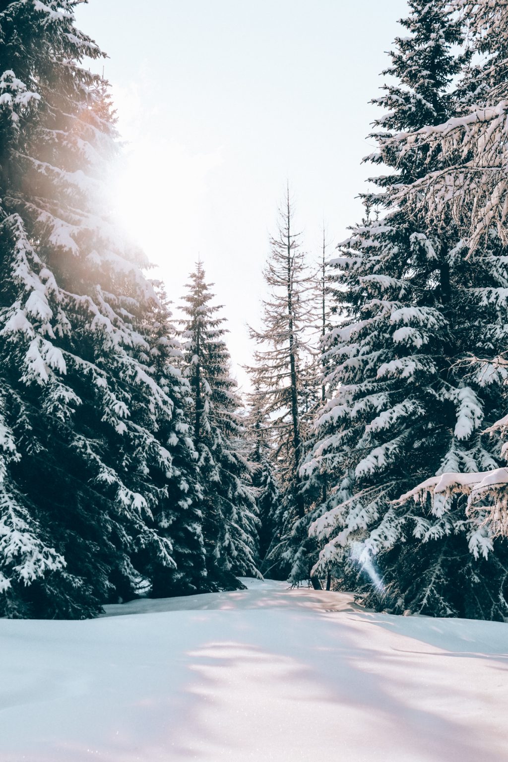 10 cozy winter wonderland destinations from around the world.